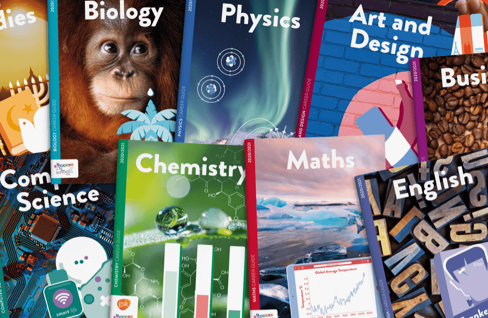 Success at School: Careers advice for schools and students